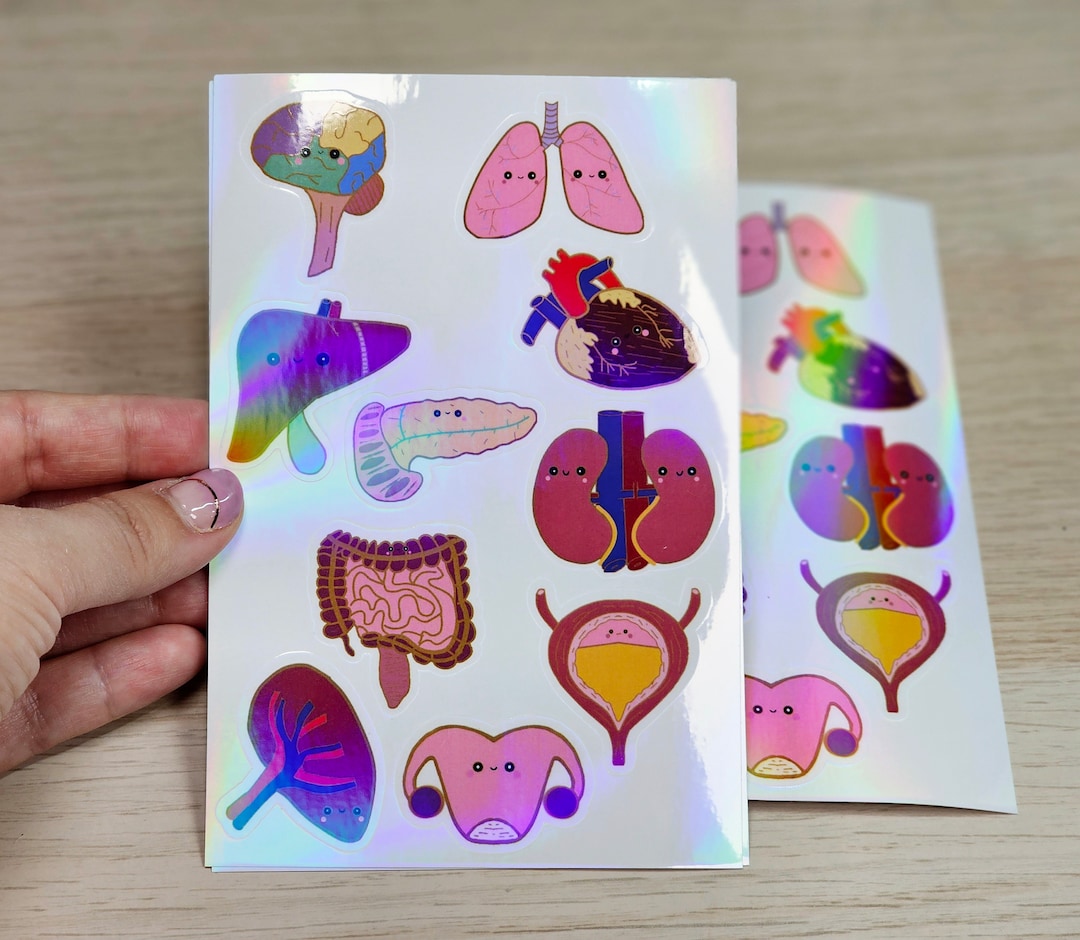 Happy Anatomy Stickers: Kawaii Organ Stickers, Medical Gift - Etsy