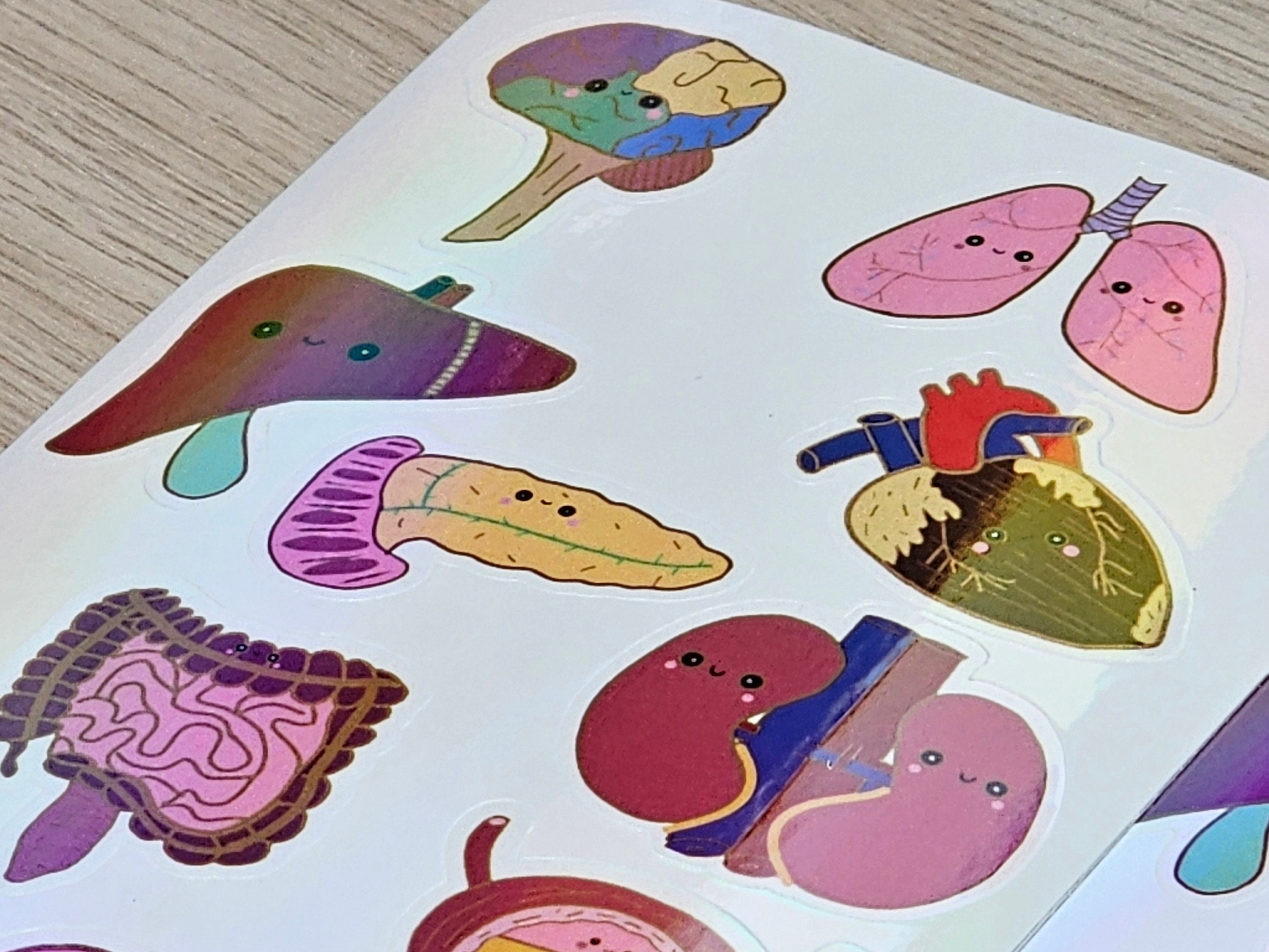 Happy Anatomy Stickers: Kawaii Organ Stickers, Medical Gift - Etsy