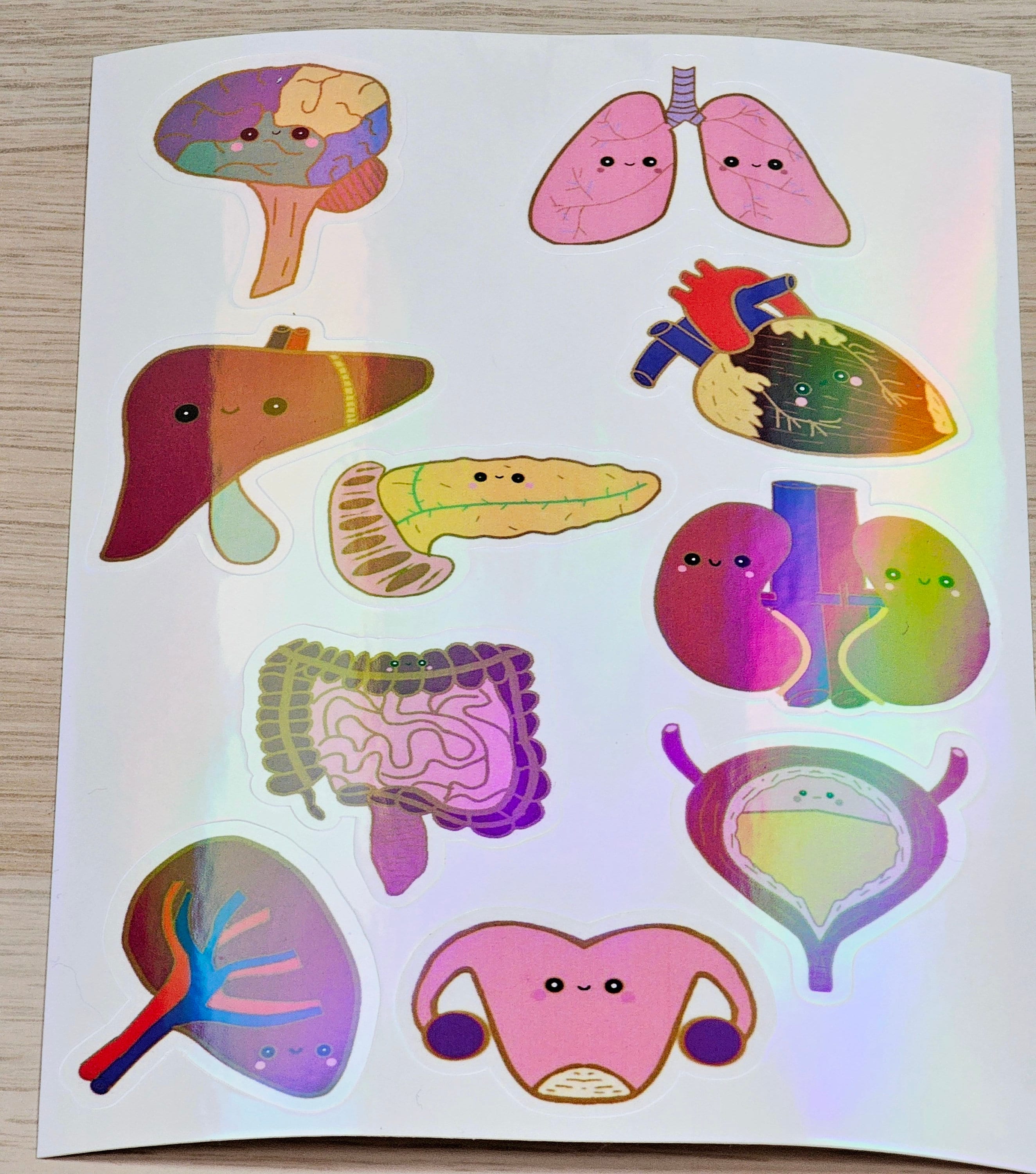 Happy Anatomy Stickers: Kawaii Organ Stickers, Medical Gift - Etsy