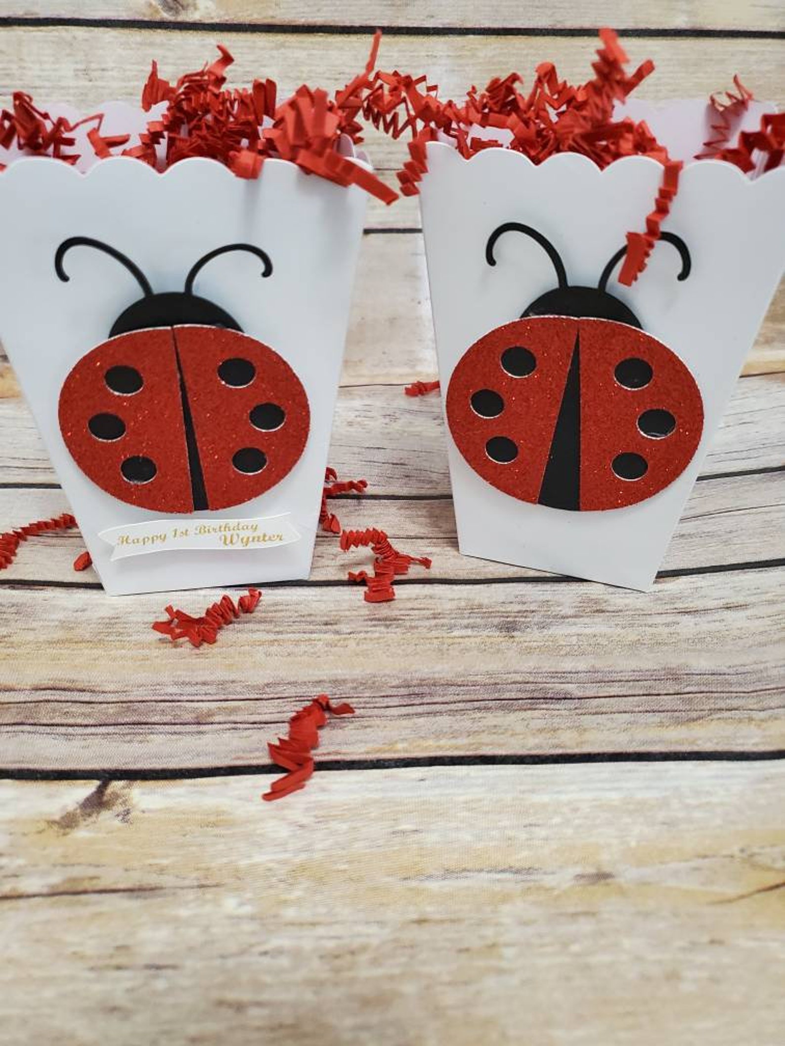 Personalized Lady Bug Treat Box Lady Bug Party Favor First | Etsy