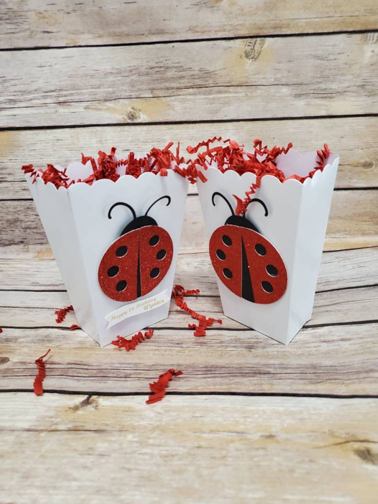 Personalized Lady Bug Treat Box Lady Bug Party Favor First | Etsy