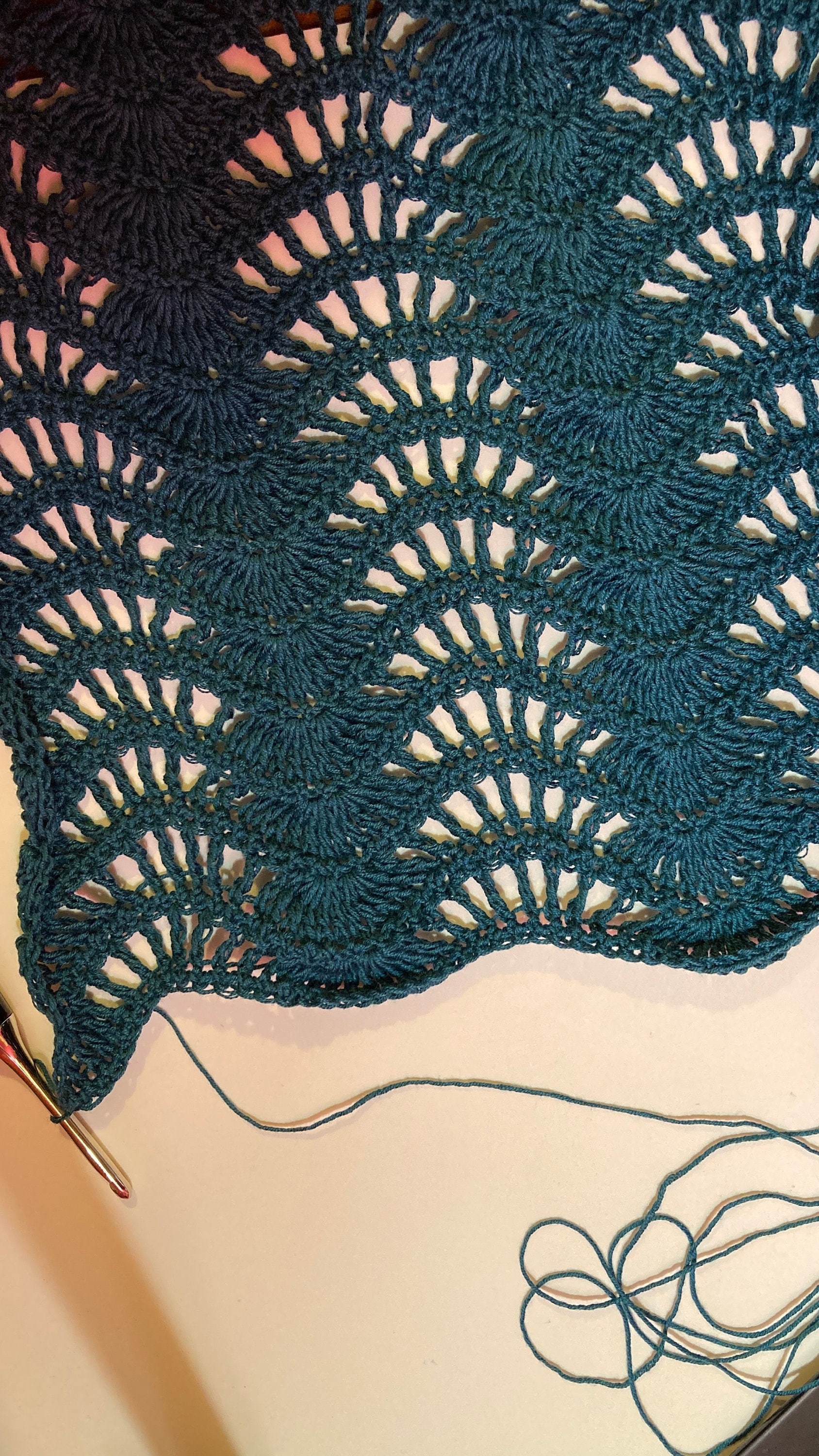 Crochet Pattern, Instant Download Feather and Fan Crochet Shawl Pattern ...