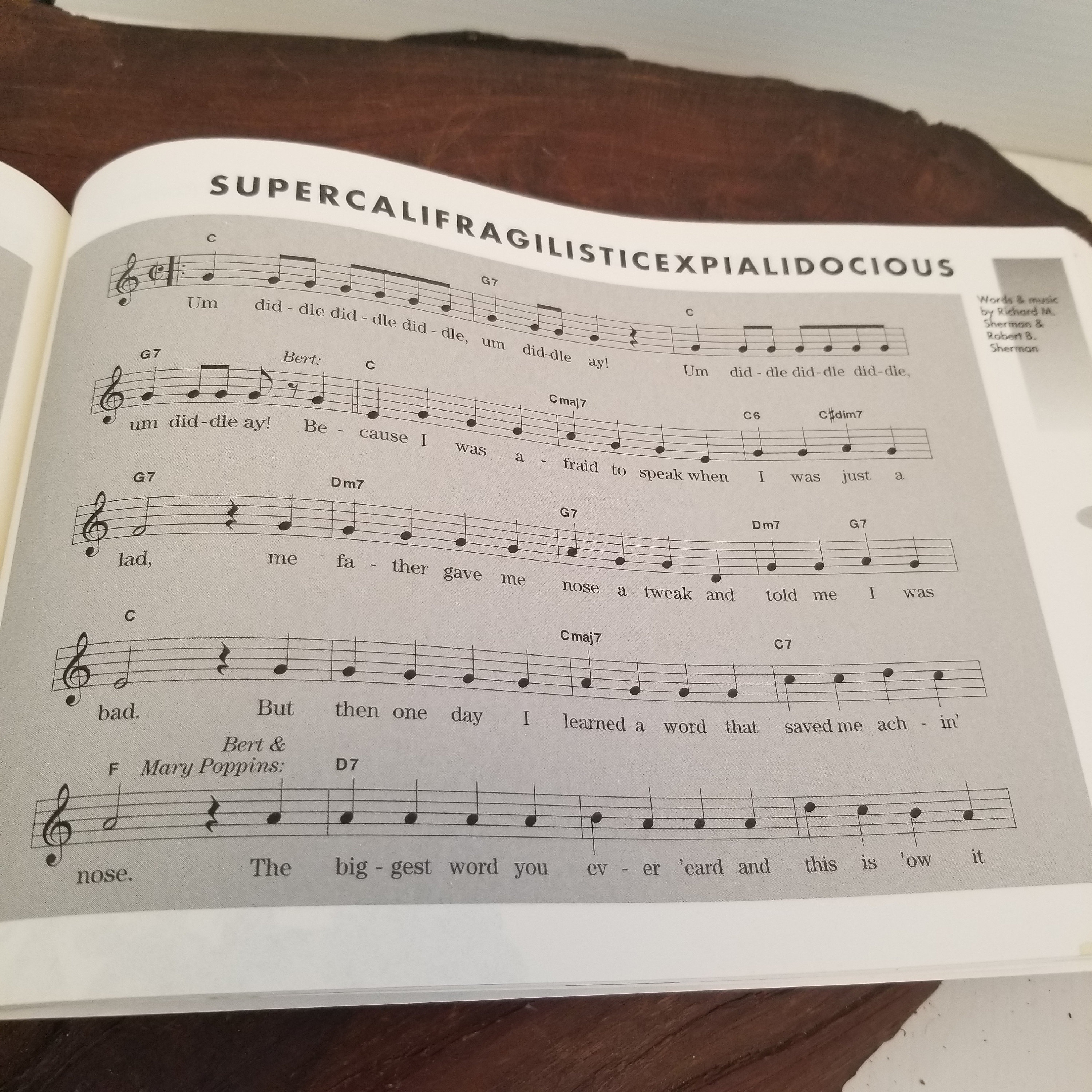 Vintage Disney Sing A Long Song Book Little Know Facts and | Etsy