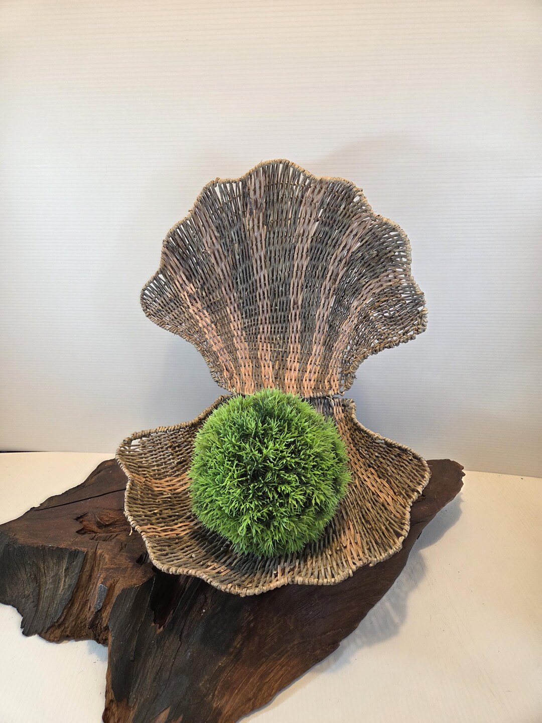 XL Wicker Clam Shell Basket, Two Tone Rattan Sea Shell - Etsy