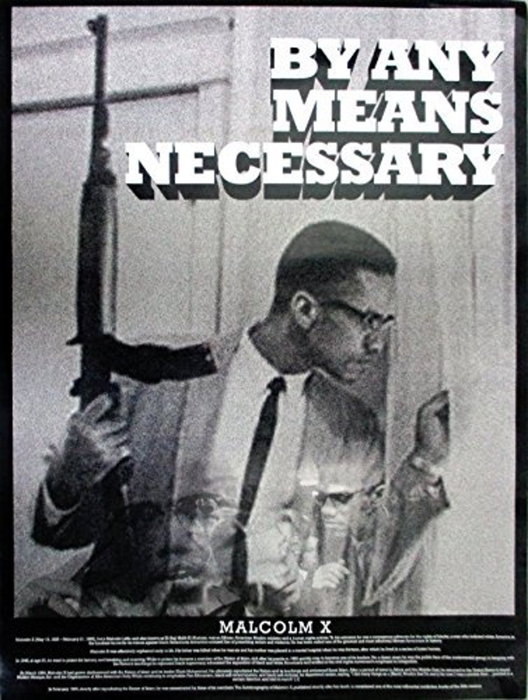 Malcolm X Gun Poster