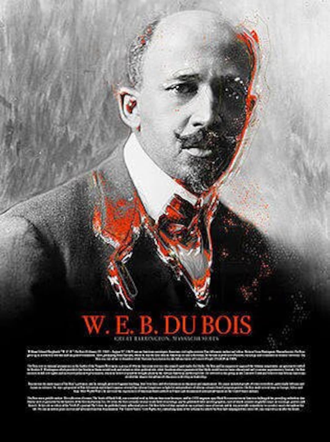 W.E.B. Du Bois Poster With Bio Black History 18x24 - Etsy