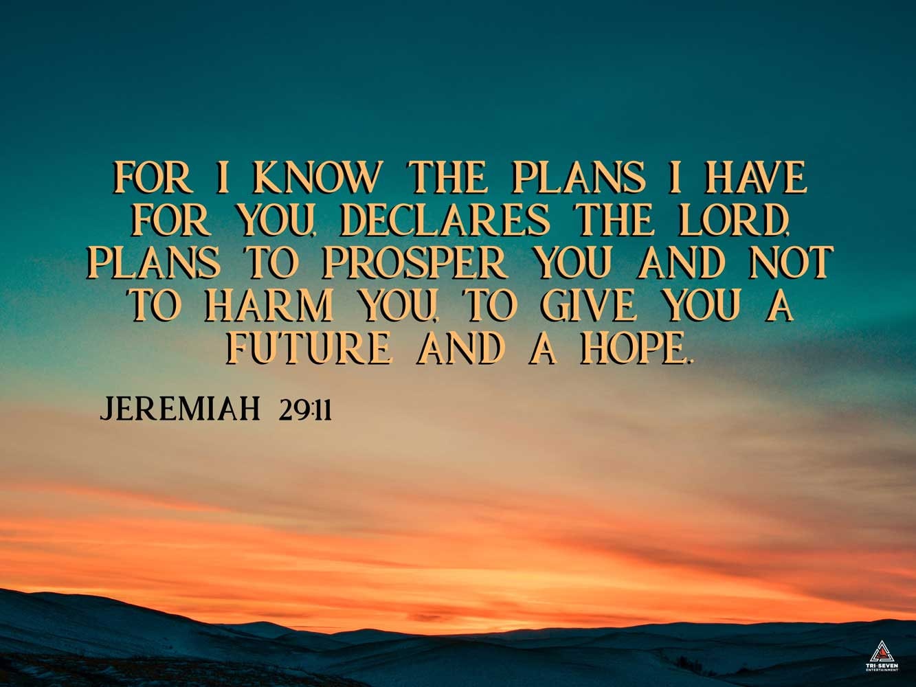 Jeremiah 29:11 Poster A Future and A Hope Bible Verse Quote | Etsy