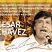 Cesar Chavez Poster Quote Labor Activist Education Art Print (24x18) - Etsy