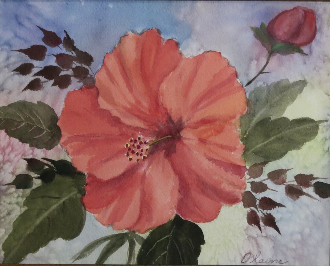Hibiscus, Original Watercolor by Olaine Becker, Signed, Framed, 18x16 ...