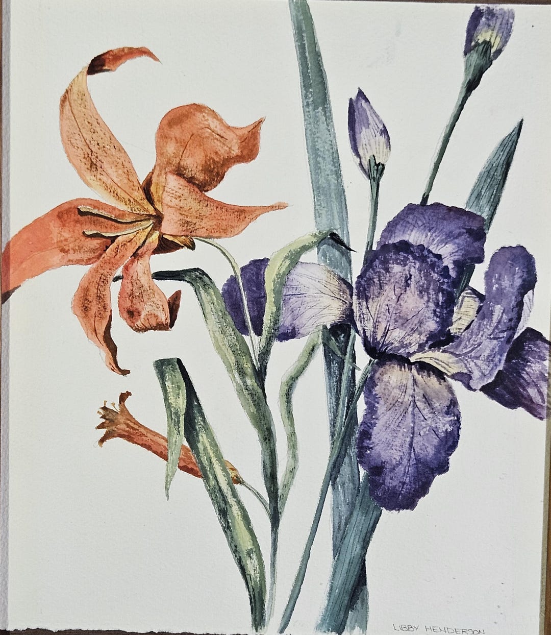Lily and Iris, Original Watercolor by Libby Henderson, Signed, Framed ...
