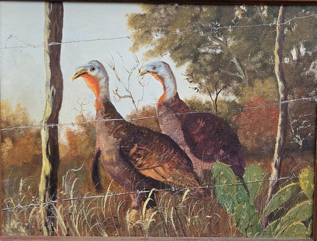 Wild Turkeys, Original Oil on Canvas, Framed, 24x20" - Etsy
