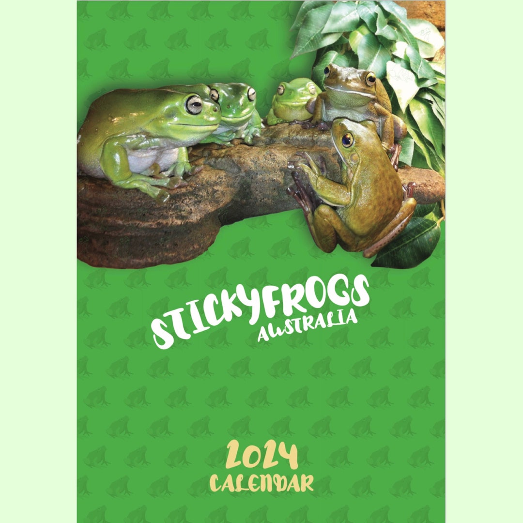 2024 Stickyfrogs A4 Calendar Wall Planner Wire Bound With Hanger - Etsy