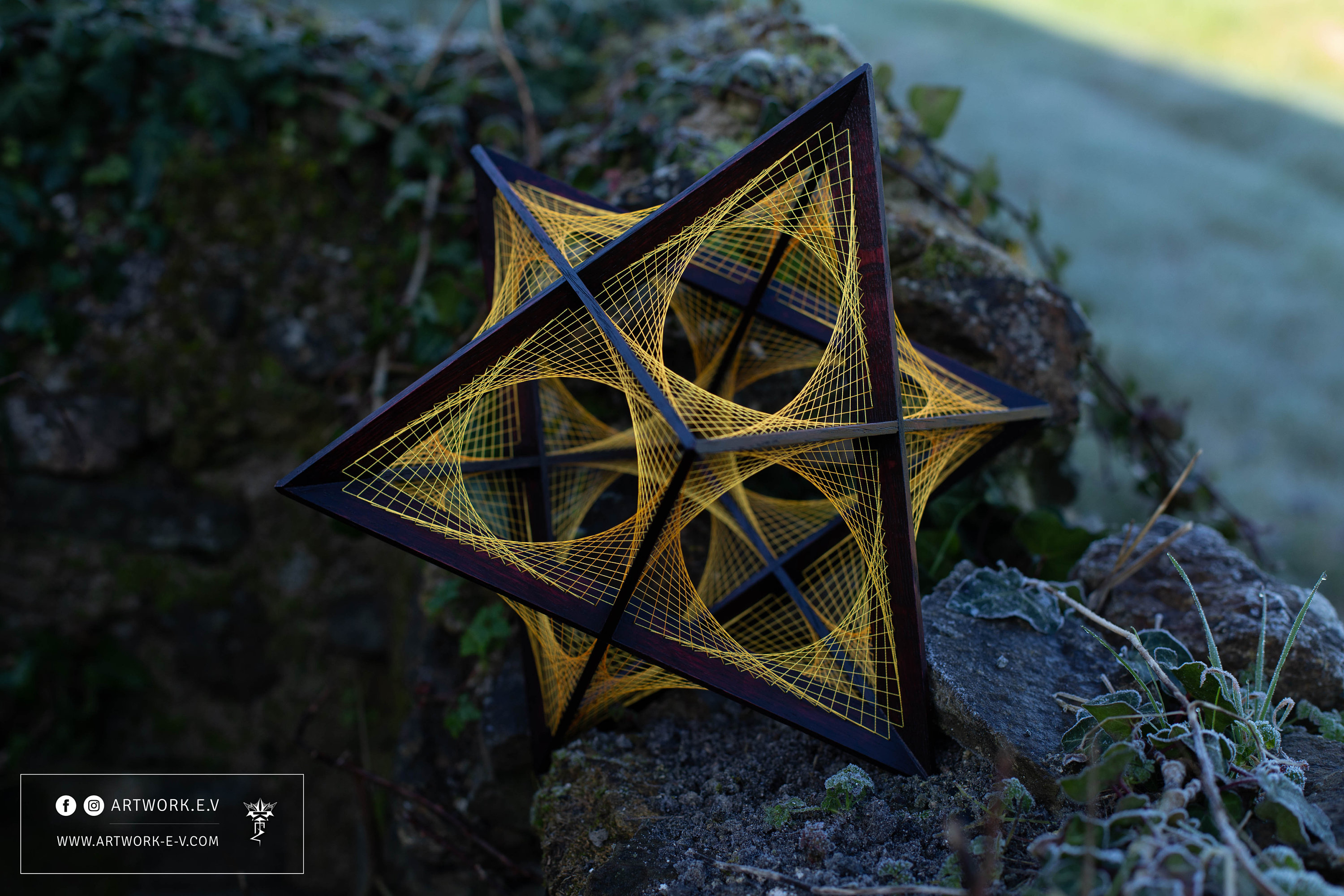 Mars Merkaba Flowers Wright