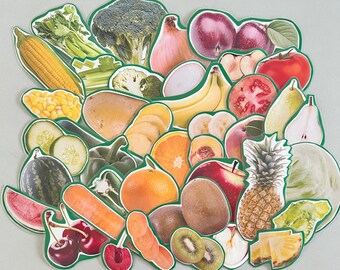 Speech Language and Regulation Mini-guide - Etsy