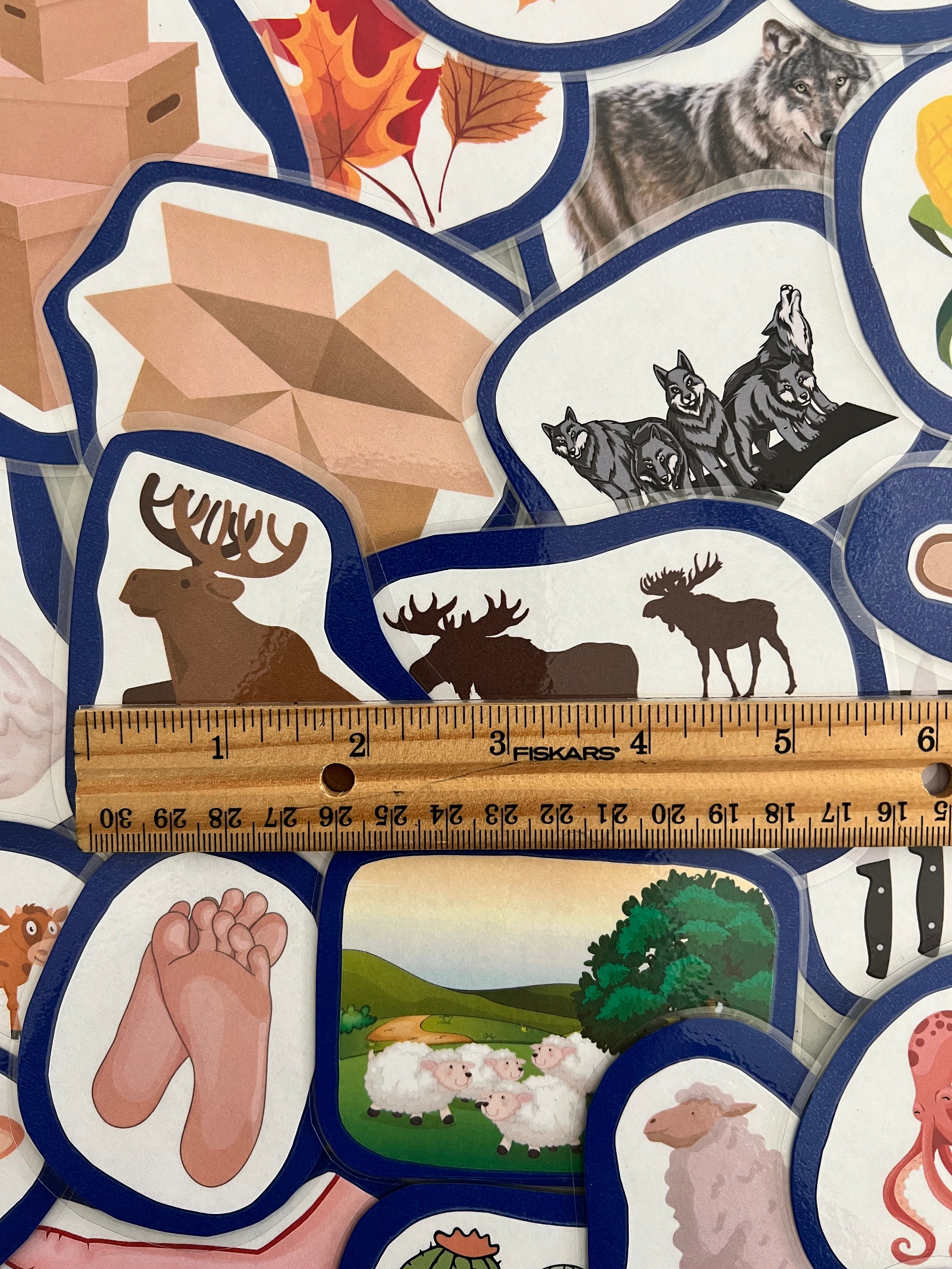 Irregular Plurals for Speech Therapy Laminated Flashcards 60 Total - Etsy