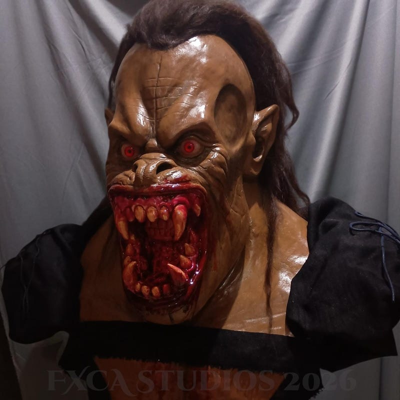 Head Bust for Display - Etsy