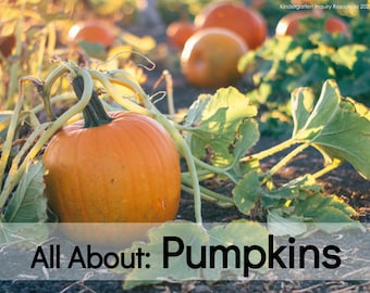 All About Woolly Bear Caterpillars: Digital Nonfiction Book for ...