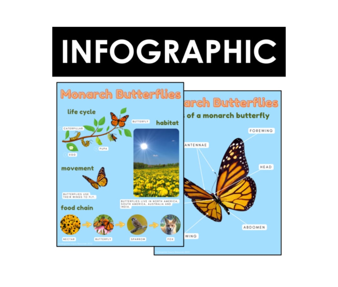 Monarch Butterflies: Life Cycle & More | Early Reader Infographic - Etsy