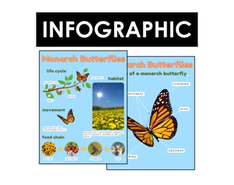 Phonics Assessment Guide - Etsy