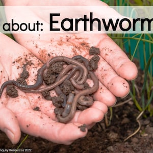 All About Earthworms: Digital Nonfiction Book for Children - Etsy
