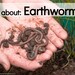 All About Earthworms: Digital Nonfiction Book for Children - Etsy