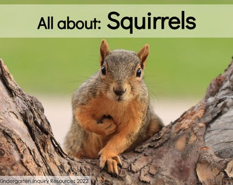 All About Woolly Bear Caterpillars: Digital Nonfiction Book for ...