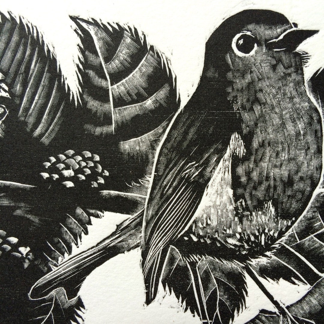 Robin Redbreast, Robin Wood Engraving Print, Print From Engraved ...