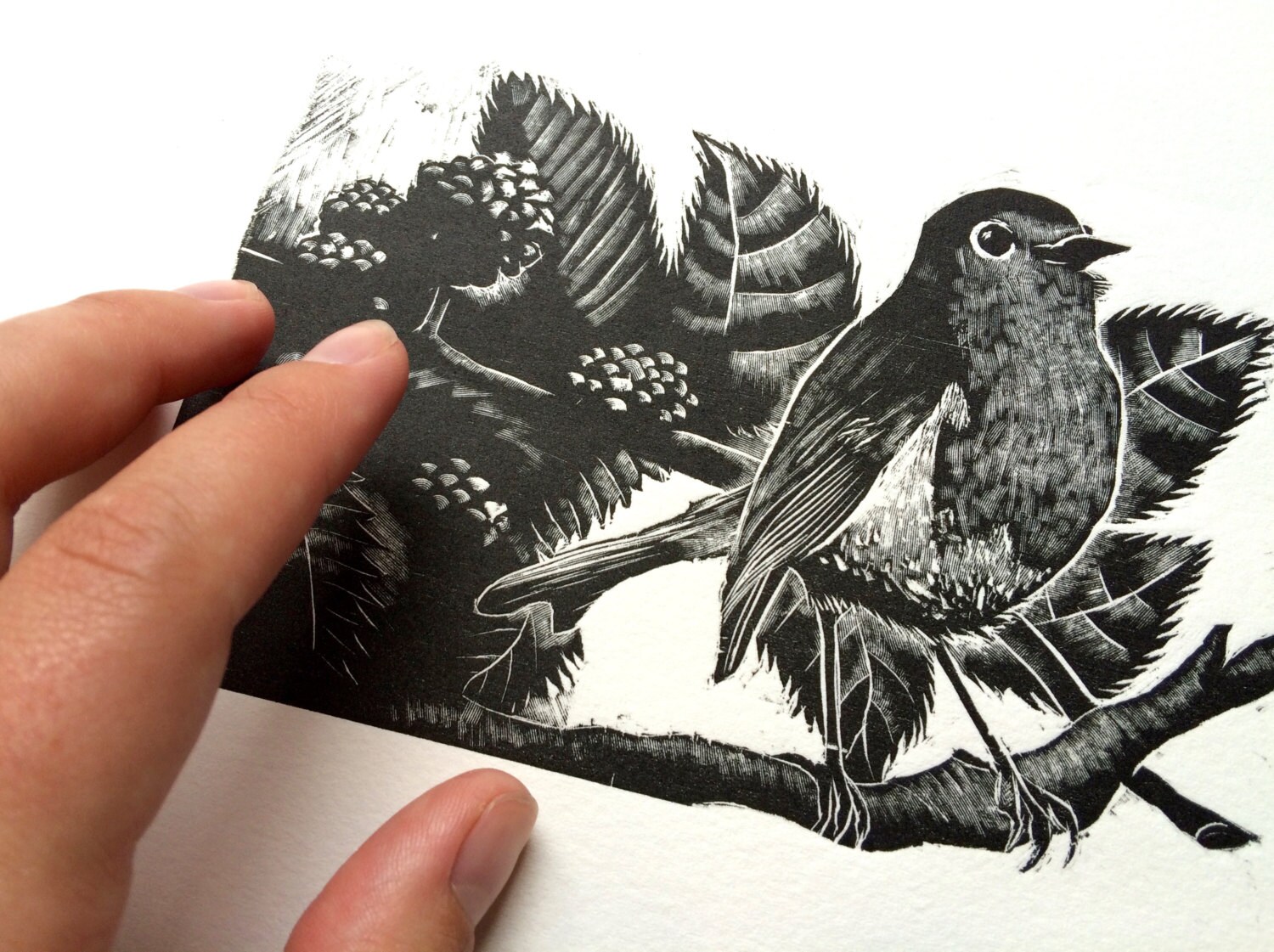 Robin Redbreast, Robin Wood Engraving Print, Print From Engraved ...