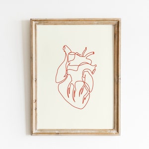One Line Anatomical Red Heart, Medical Human Heart One Line Art ...