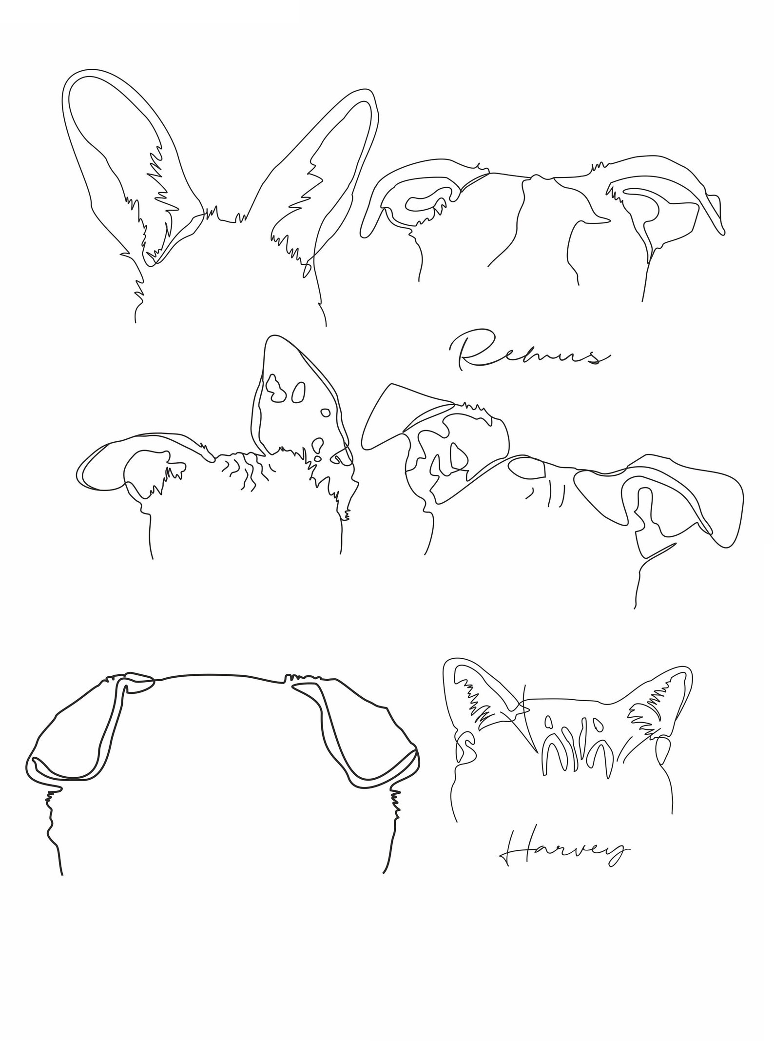 Pet Ears Custom Line Drawing Custom Pet Outline Painting Cat - Etsy