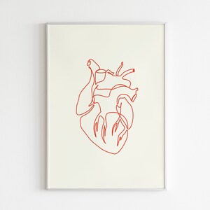 One Line Anatomical Red Heart, Medical Human Heart One Line Art ...
