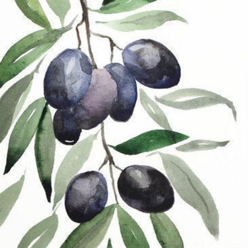 Botanical Watercolor Print Set Three Watercolor Prints of - Etsy