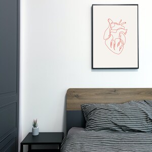 One Line Anatomical Red Heart, Medical Human Heart One Line Art ...