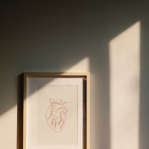 One Line Anatomical Red Heart, Medical Human Heart One Line Art ...