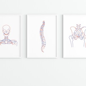Anatomical Set Printable, Anatomy Spine Print, Medical One Line Art ...