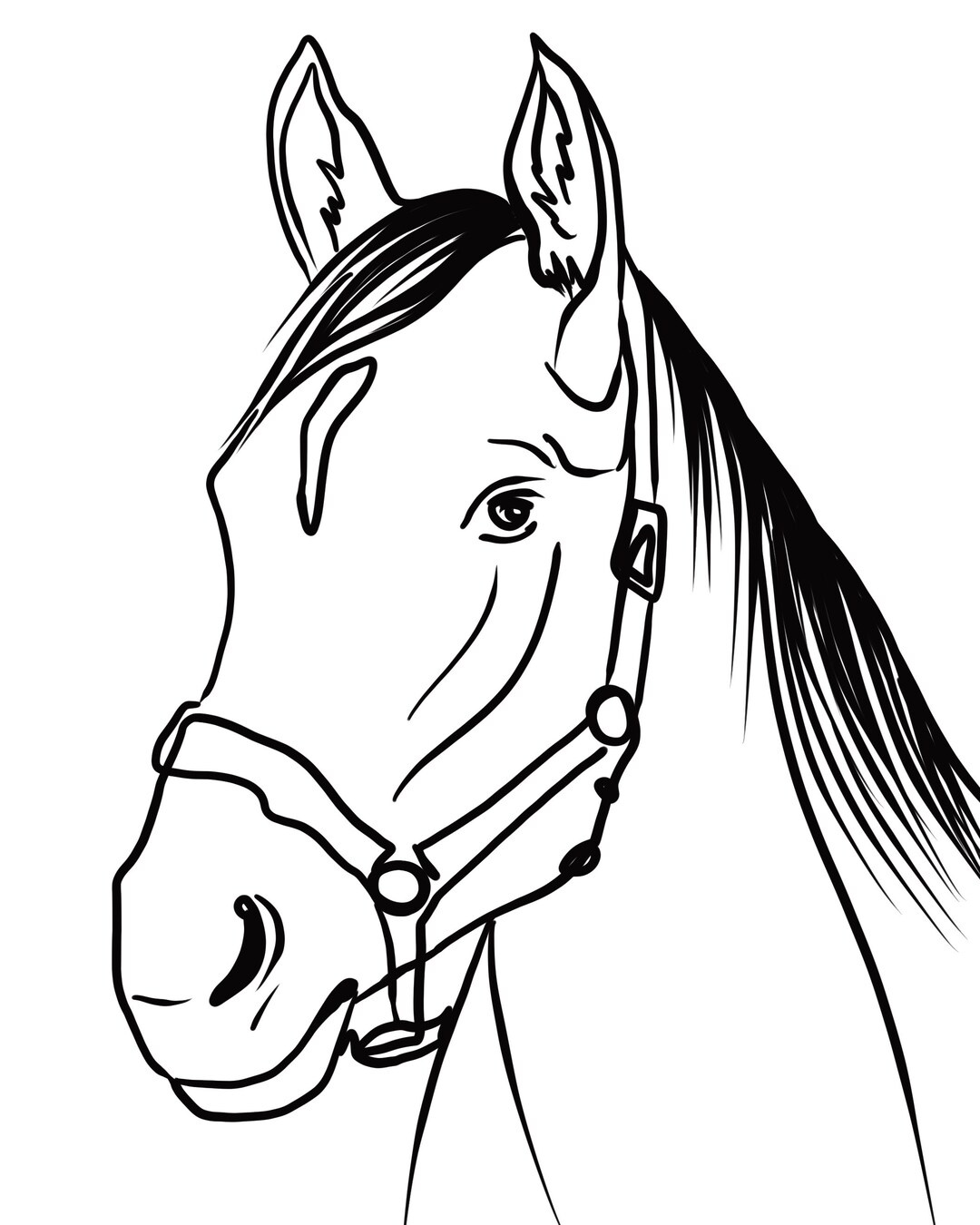 Custom Horse Drawing From Photo, Outline Portrait Personalized Gift ...