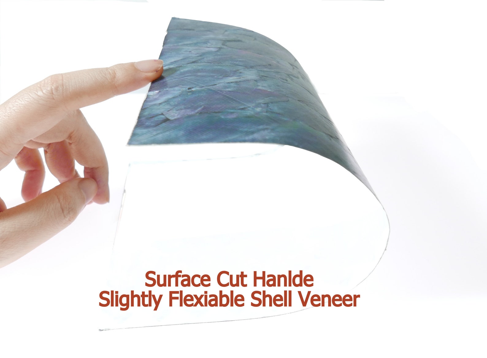 Donkey Ear Prism Shell Shiny Painted Surface Flexible/flat Black Base ...