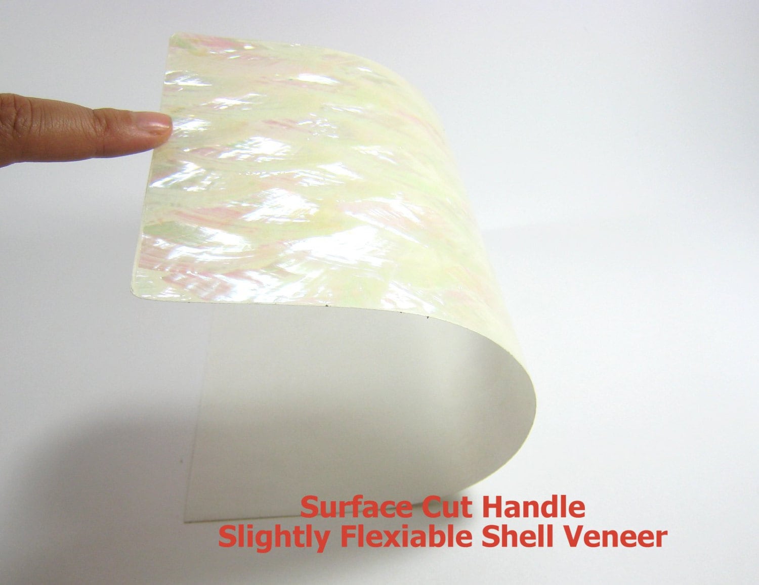 Donkey Ear Shell Shiny Painted Surface Flexible/flat Double-sided ...