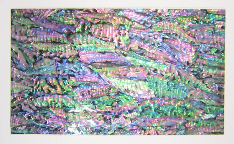 Dragon Prism Green Paua Shiny Painted Surface Flexible/flat | Etsy