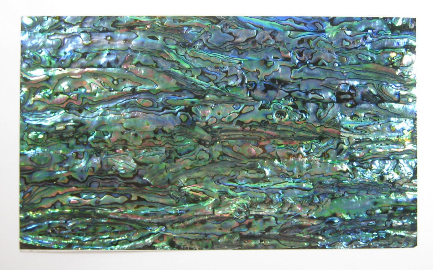 Blue Paua Shiny Painted Surface Flexible/flat Enhanced Double-sided ...