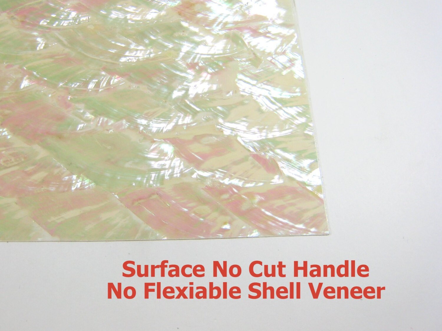 Donkey Ear Shell Shiny Painted Surface Flexible/flat Double-sided ...