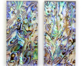 Abalone Blank - Etsy