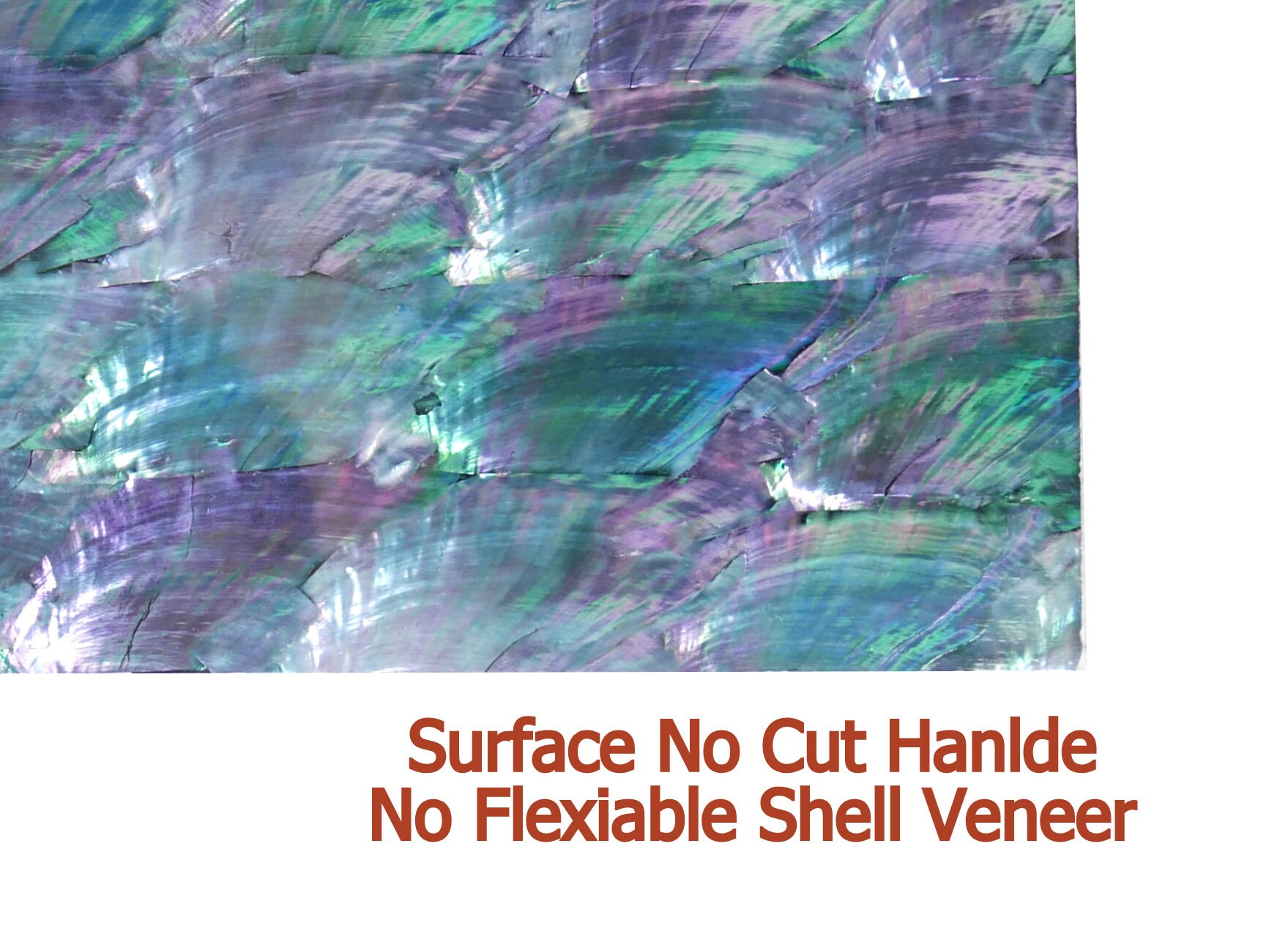 Donkey Ear Prism Shell Shiny Painted Surface Flexible/flat Black Base ...