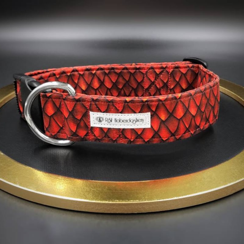 Dragon Dog Collar - Etsy