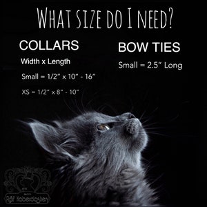 Dragon Scales Cat Collar/ Crimson and Fire Cryptids Collar for Cats ...