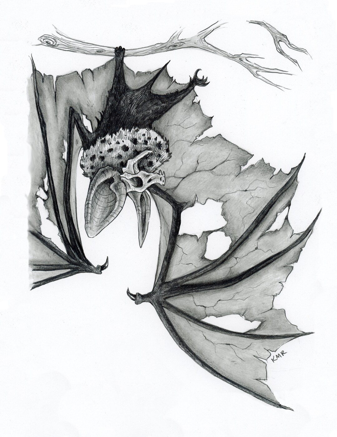 Bat Graphite Art Print - Etsy
