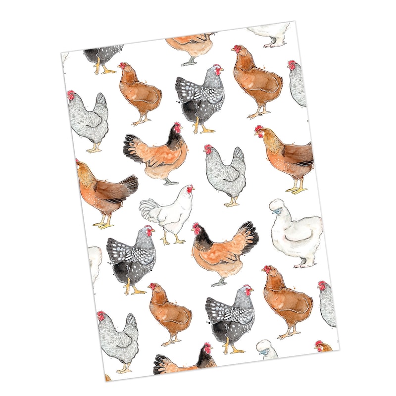 Chicken Stationary - Etsy