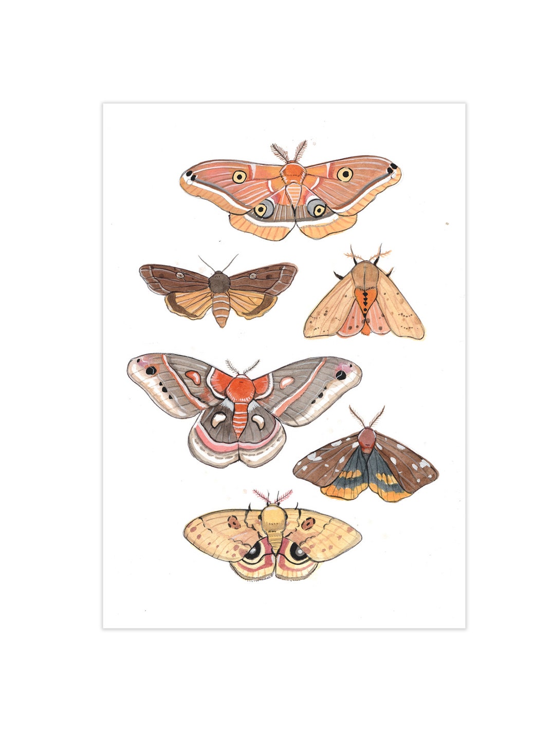 Moths ORIGINAL Watercolor UNIQUE Work Watercolor by Moth Made in Quebec ...