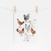 Poster of Hens Illustration of Hen Chicken Farm Animals - Etsy