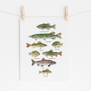 Species of Quebec's Freshwater Fish | Poster | Sport Fishing ...